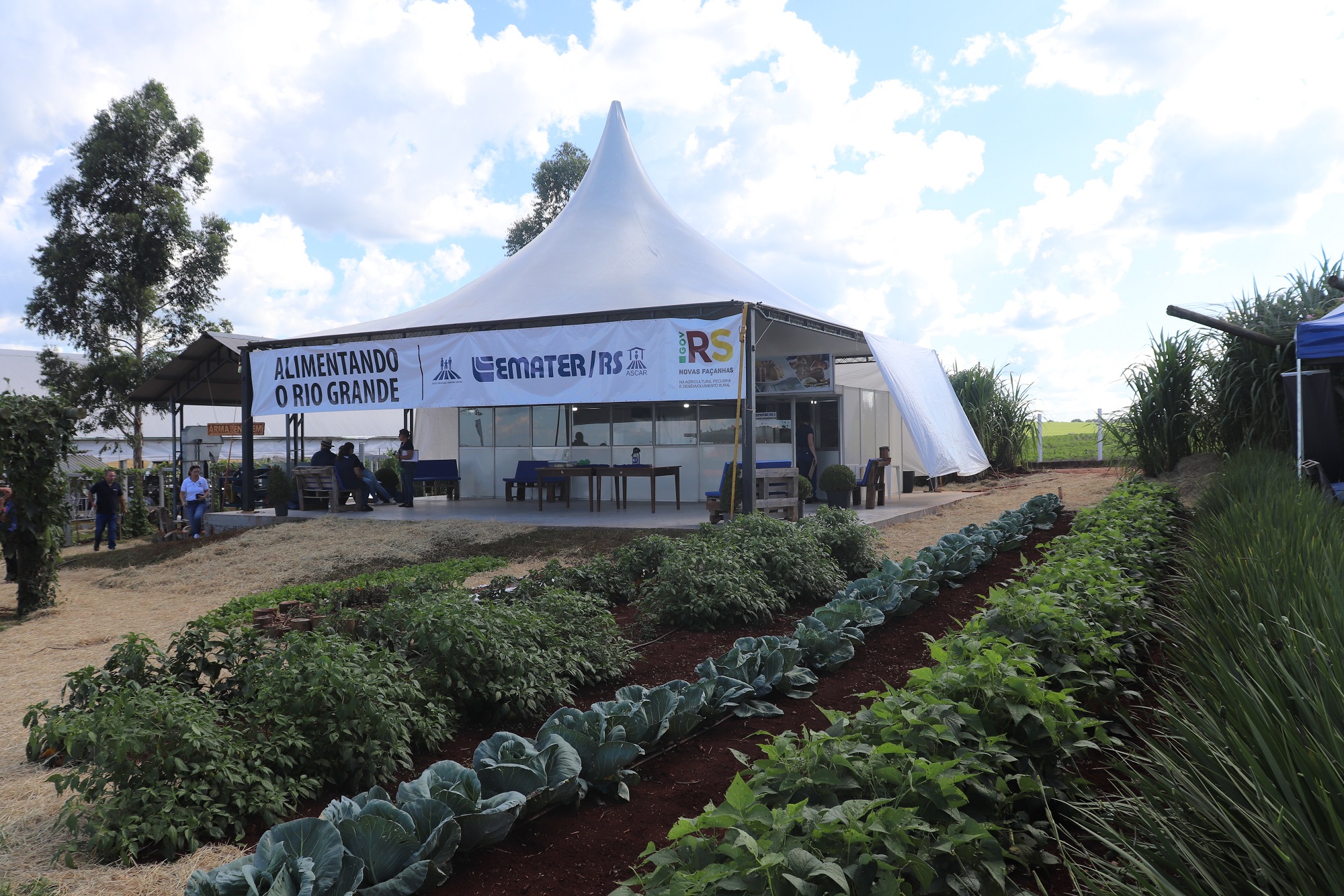 Emater/RS-Ascar prepara atrações para ExpoAgro Cotricampo 2025 ...